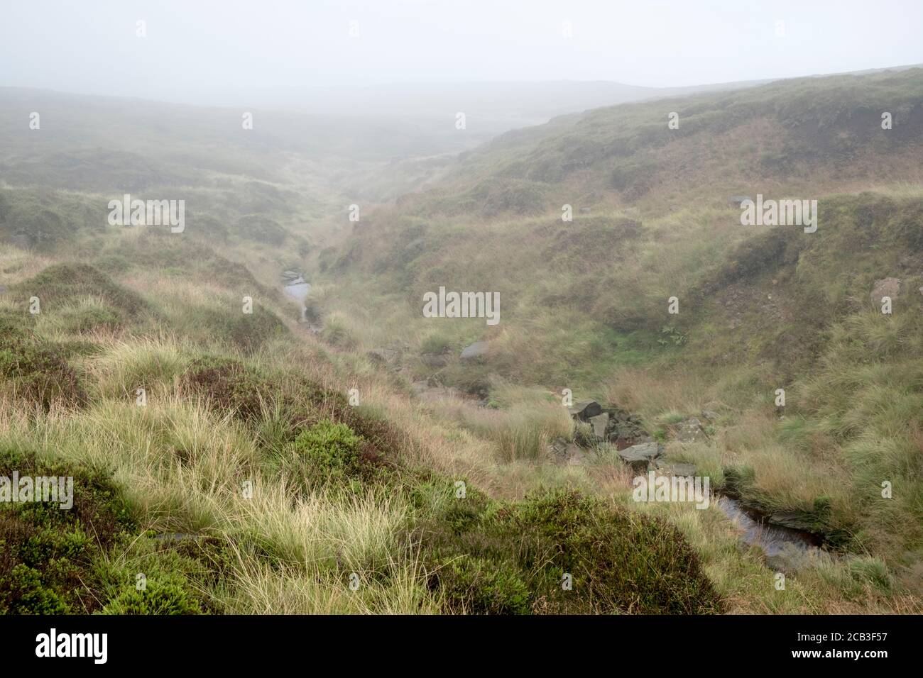 English Moors Fog