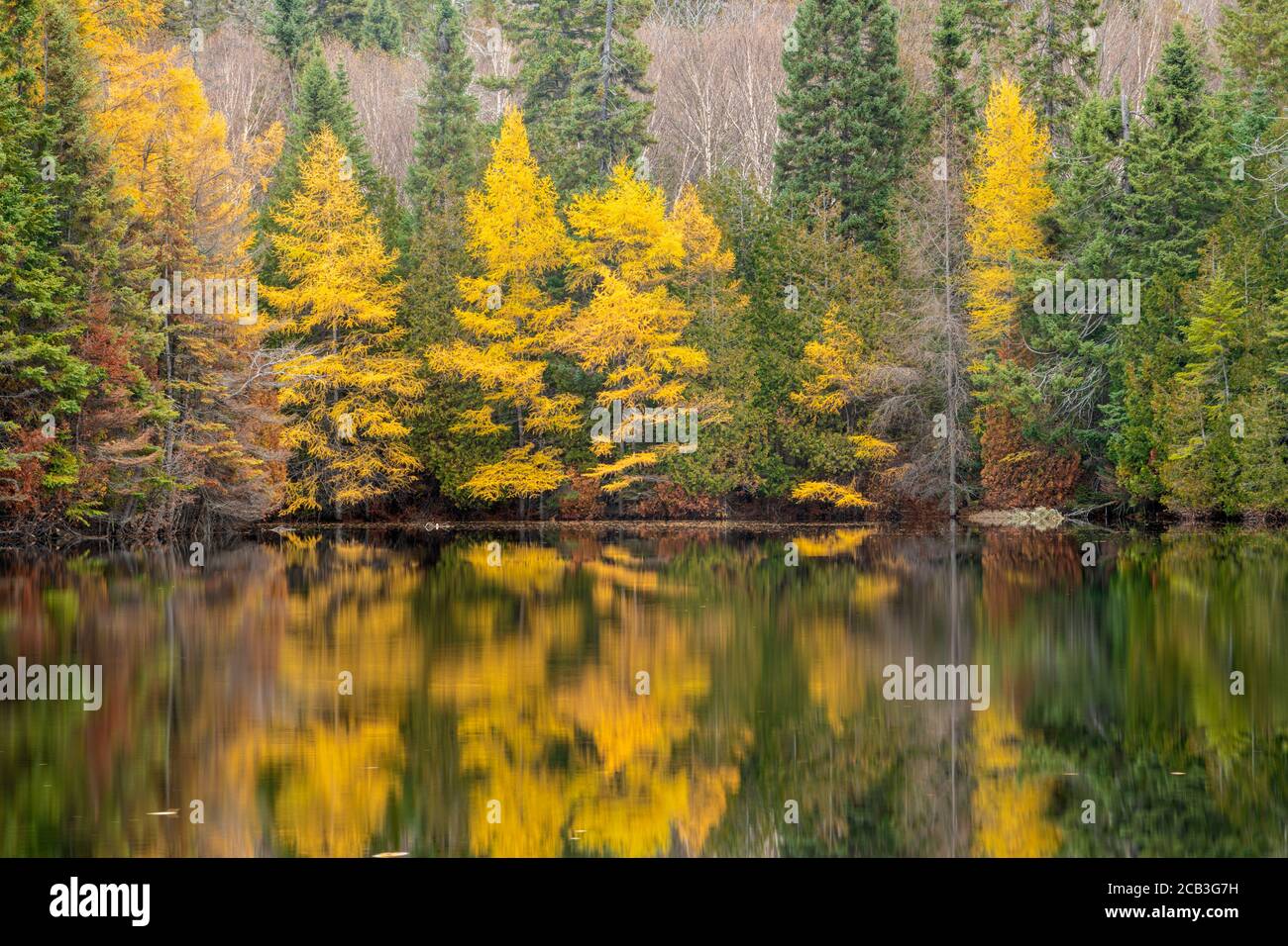 Trappers canada hi-res stock photography and images - Alamy
