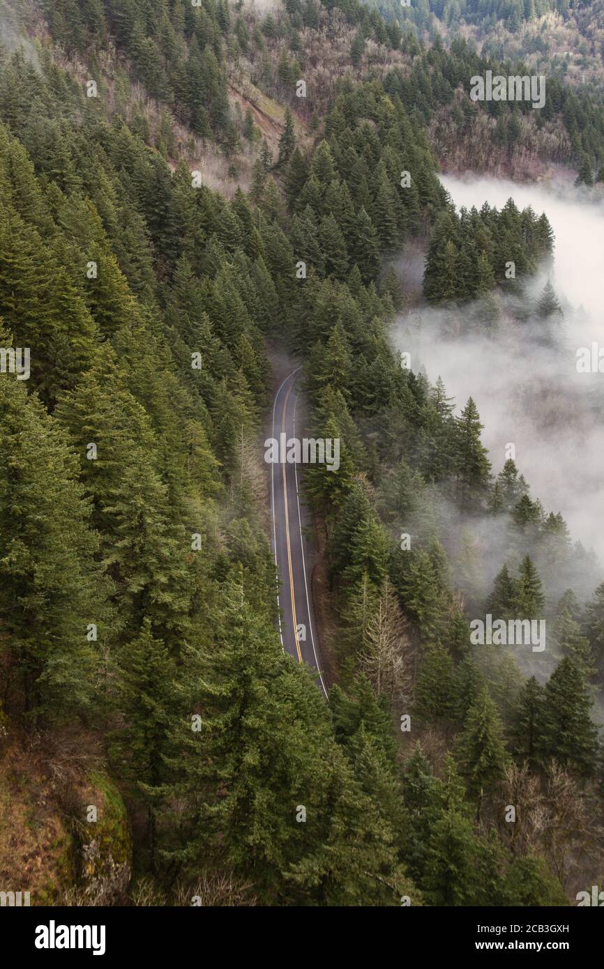 Vertical high angle shot of a road surrounded with trees Stock Photo ...