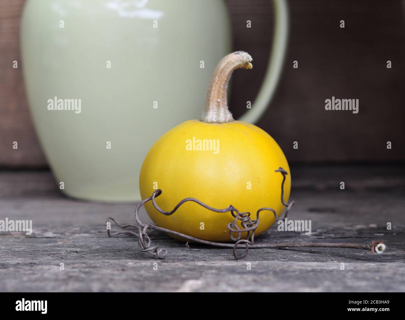 Still life with a yellow decorative zucchini Stock Photo - Alamy