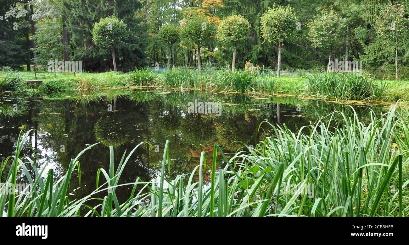 Green Park. Round-crowned trees Stock Photo - Alamy