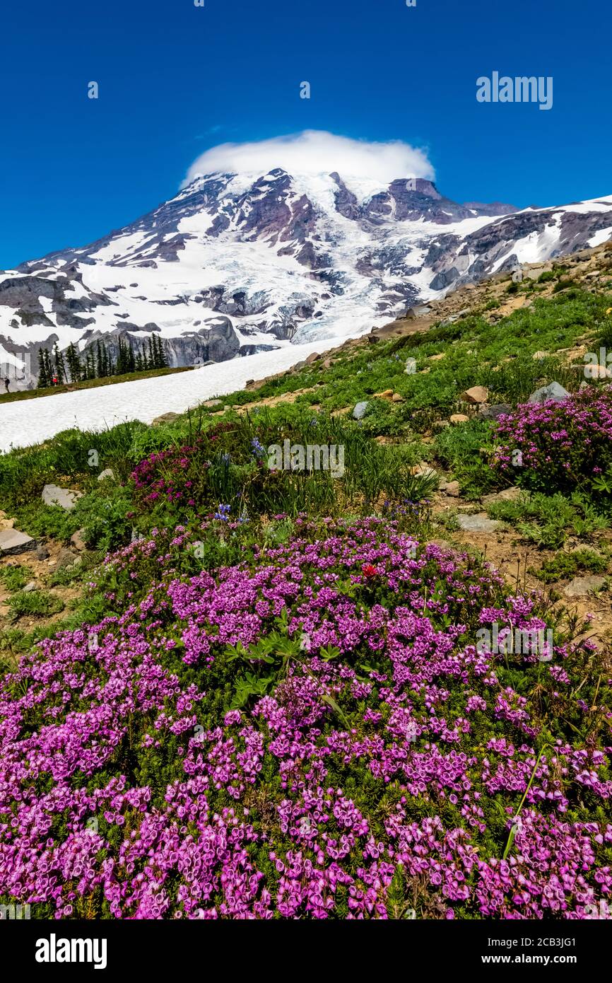 Bell shaped volcano hi-res stock photography and images - Alamy