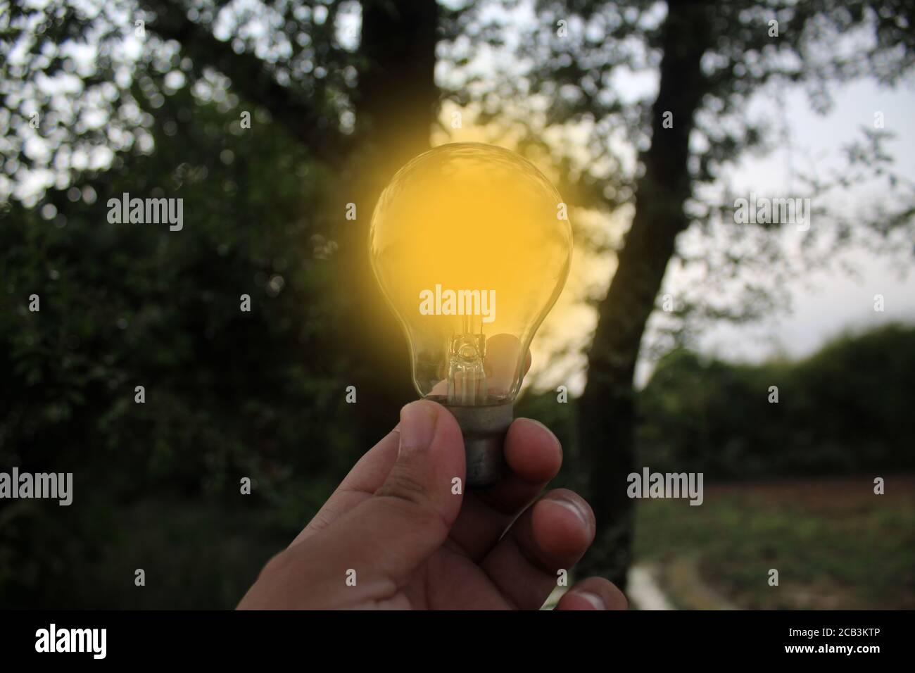 Person holding a glowing light bulb Stock Photo - Alamy