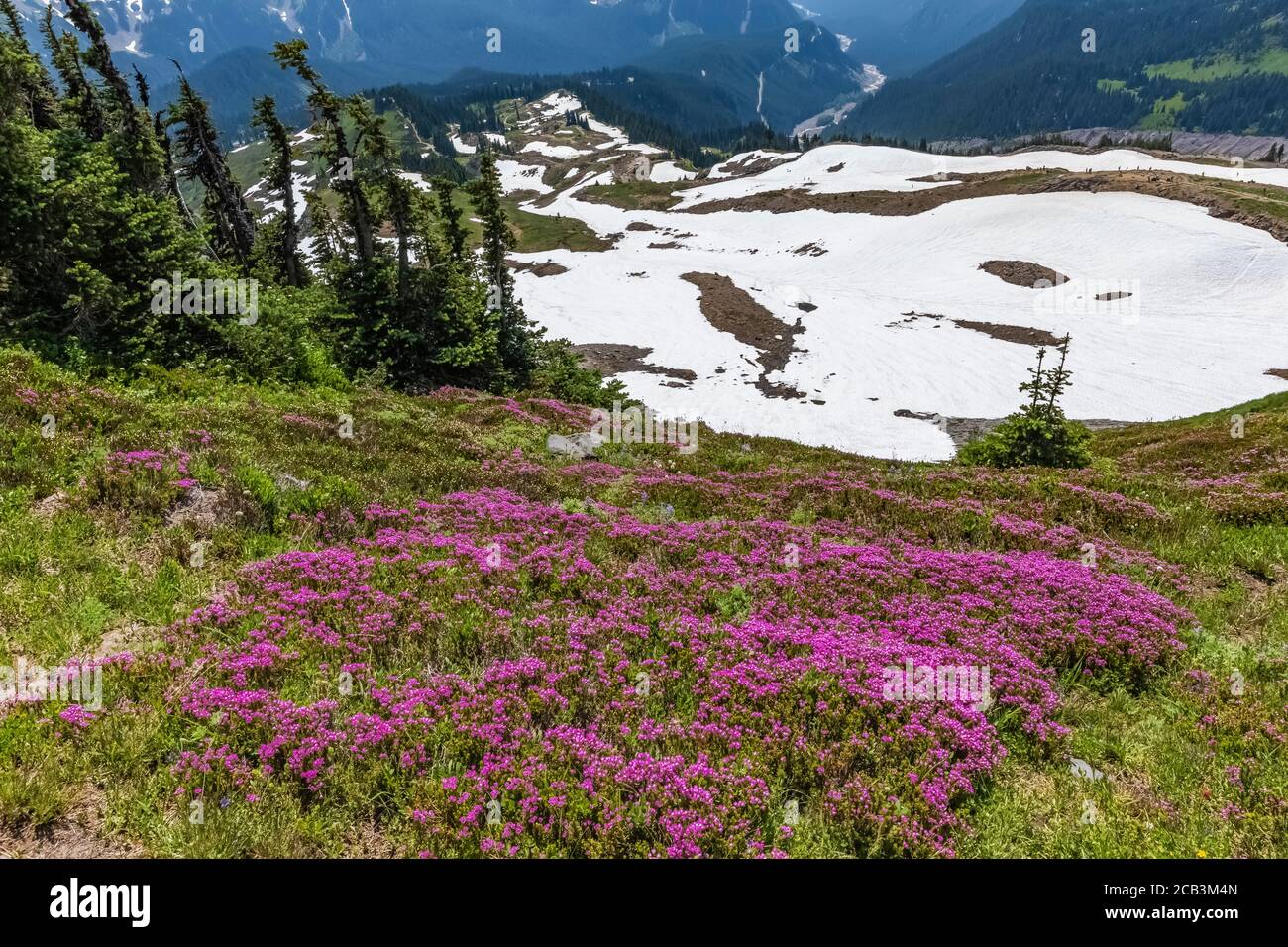 Bell shaped volcano hi-res stock photography and images - Alamy