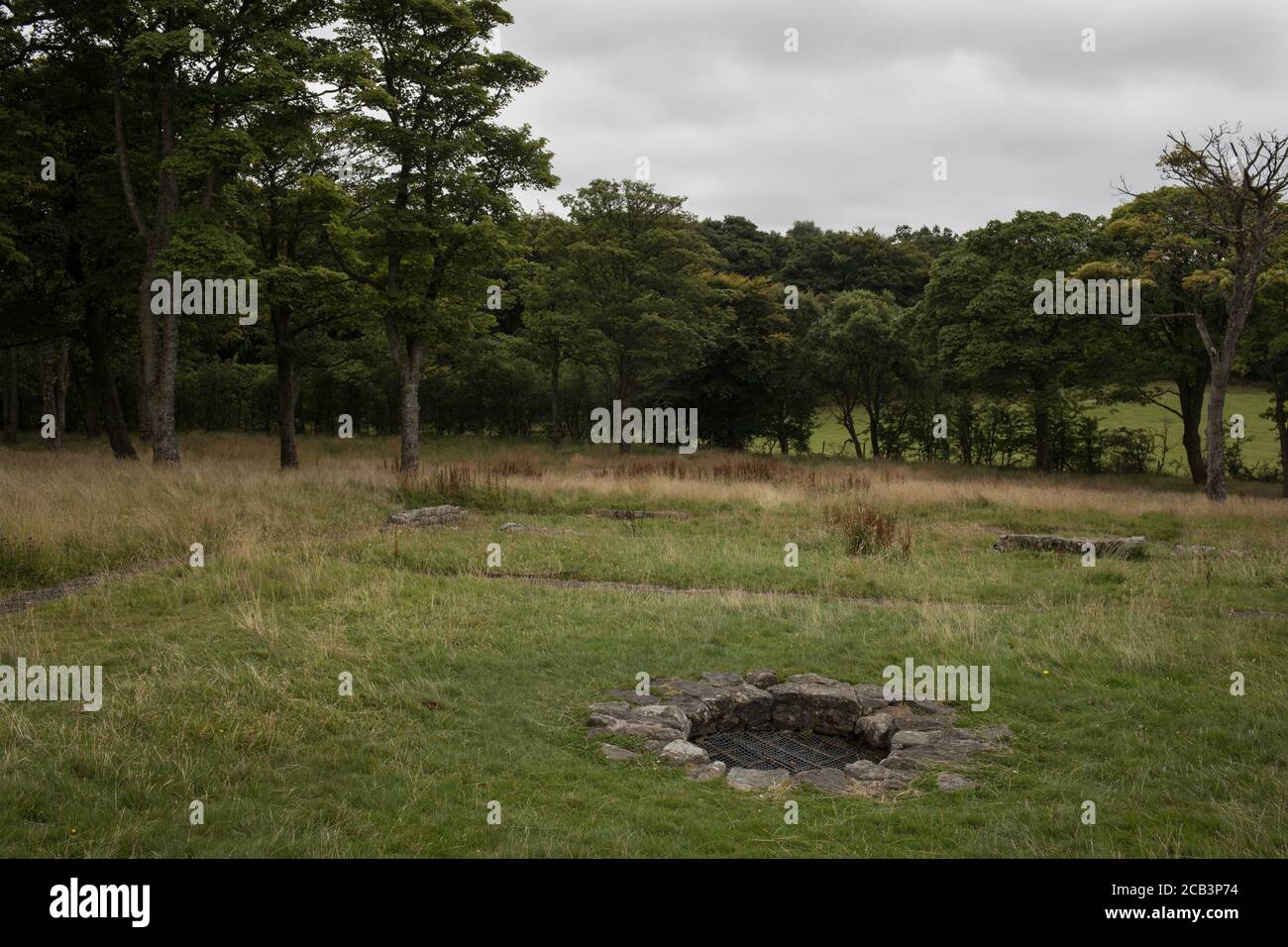 Bar Hill fort area of the Roman-era Antonine Wall, near Twechar ...