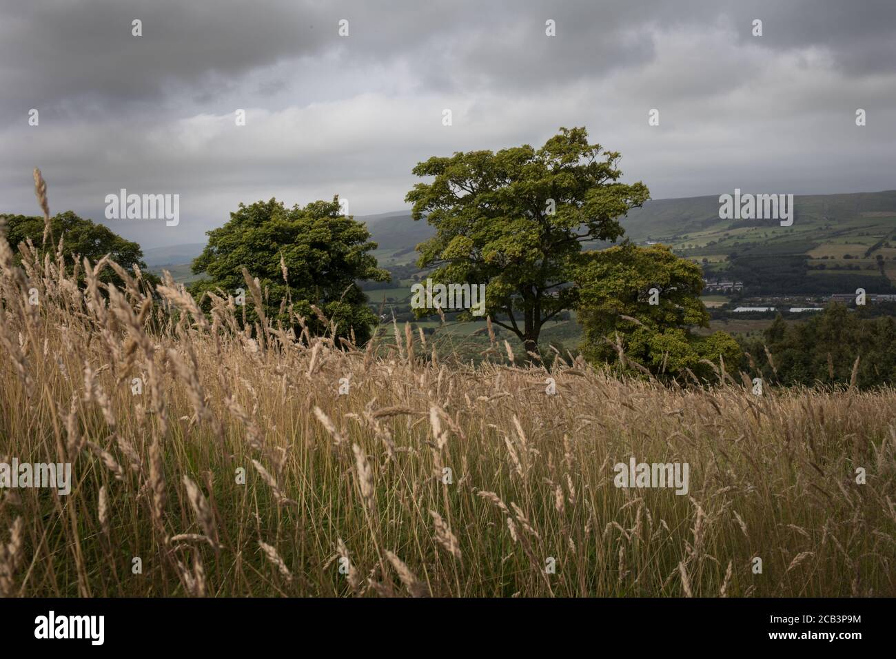 Bar Hill fort area of the Roman-era Antonine Wall, near Twechar ...