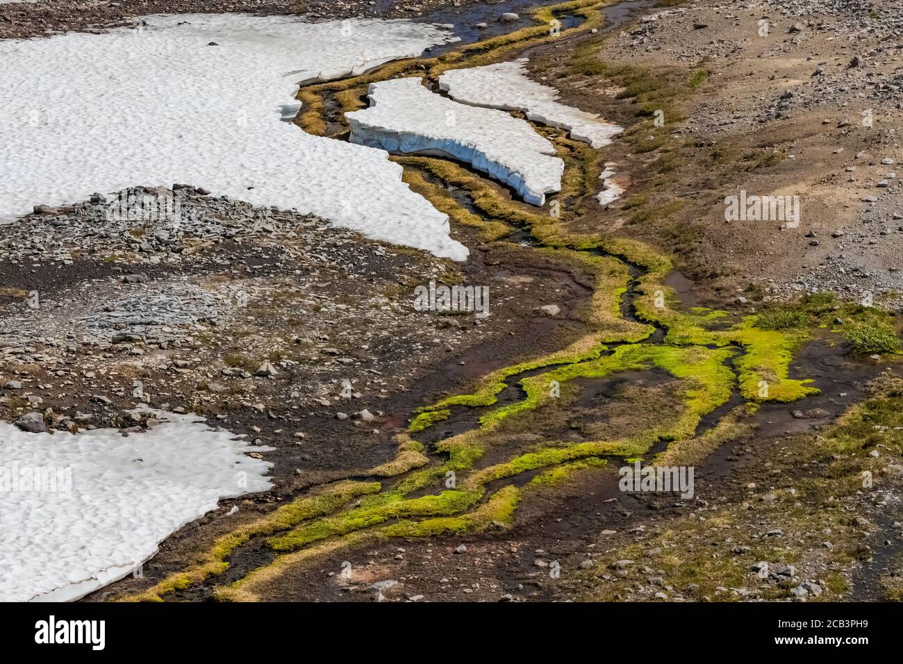 Snow field melting and exposing a moss-lined creek along the Skyline ...