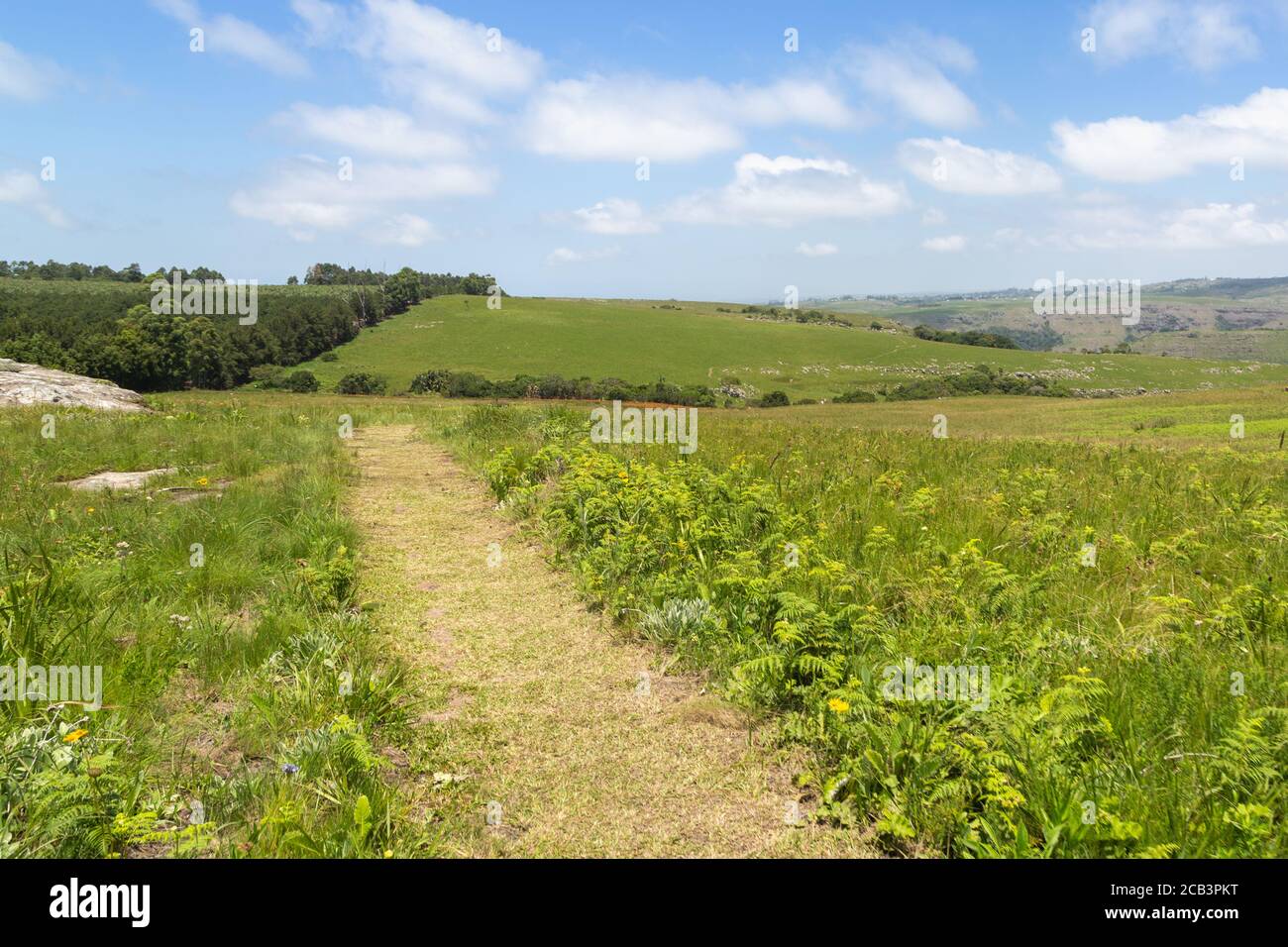 Impressions of the magnificient Umtamvuna Nature Reserve close to Port ...