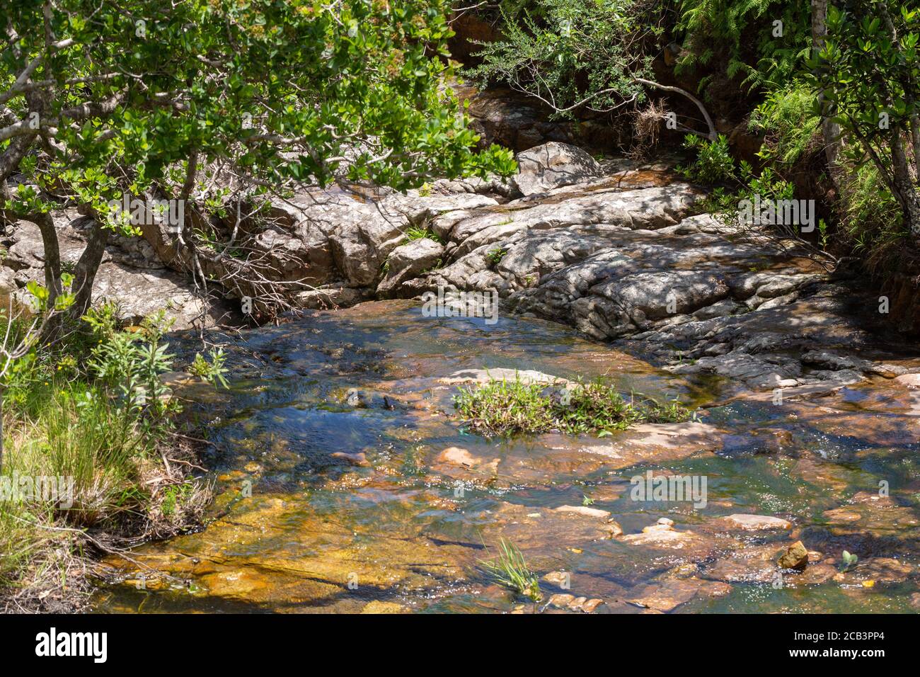 Landscape along a tributary of the Bulolo River in Umtamvuna Nature ...