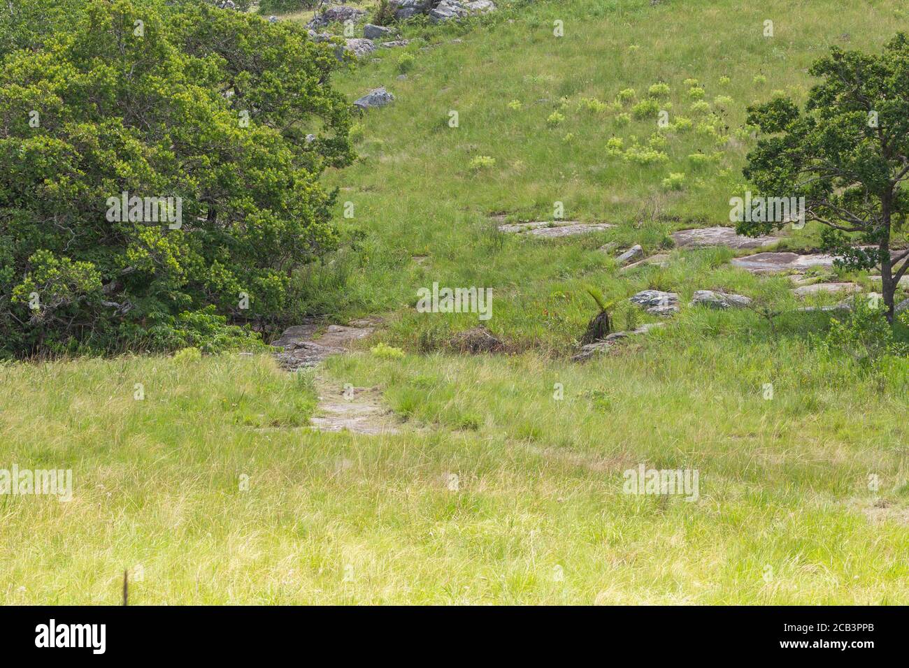 Impressions of the magnificient Umtamvuna Nature Reserve close to Port ...