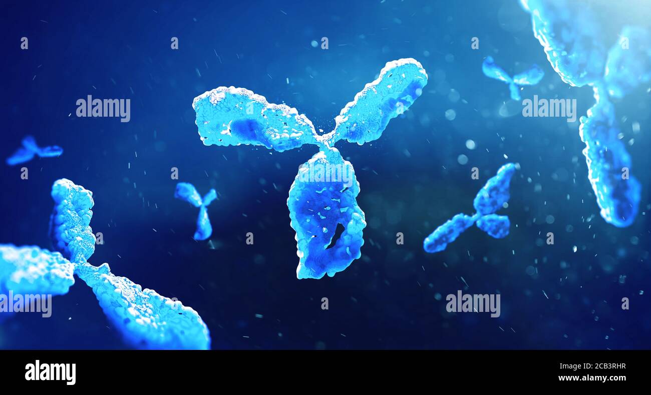 Immunoglobulin hi-res stock photography and images - Alamy