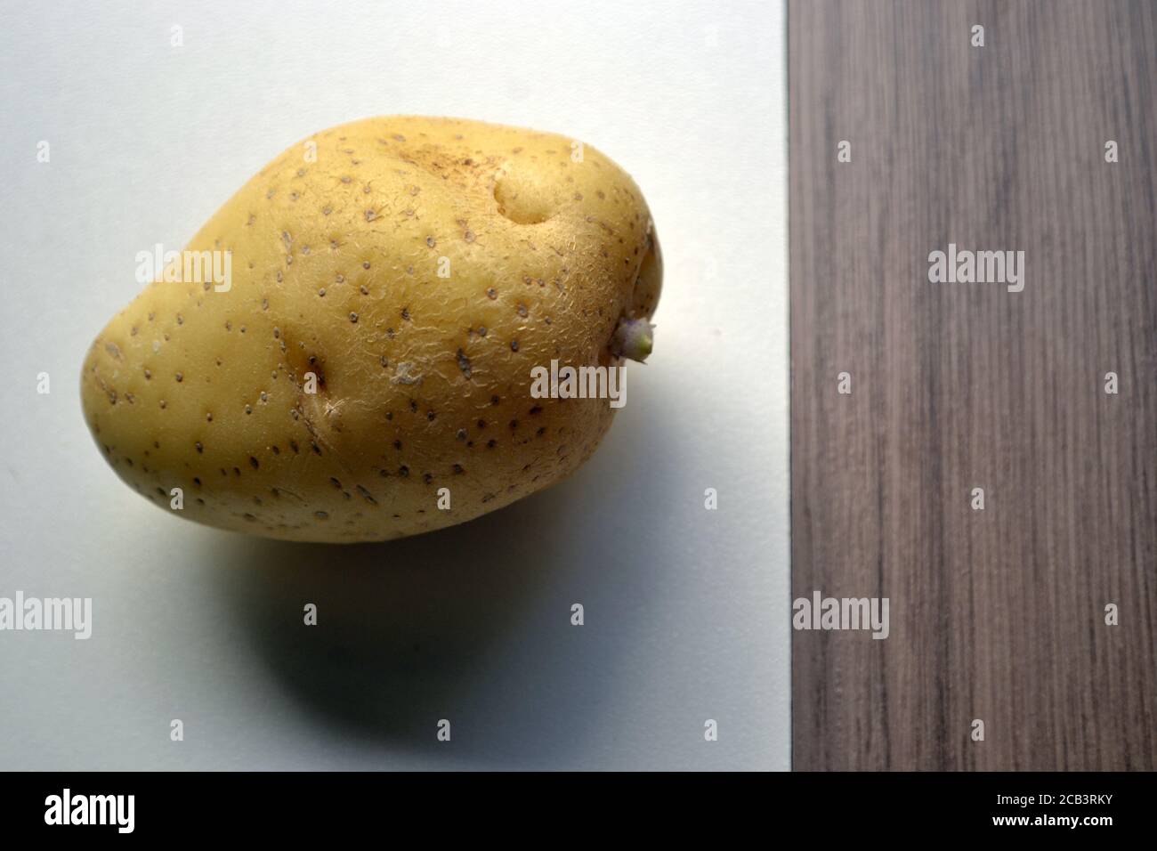Potato. potato, tuber with scientific name solanum tuberosum, on white ...
