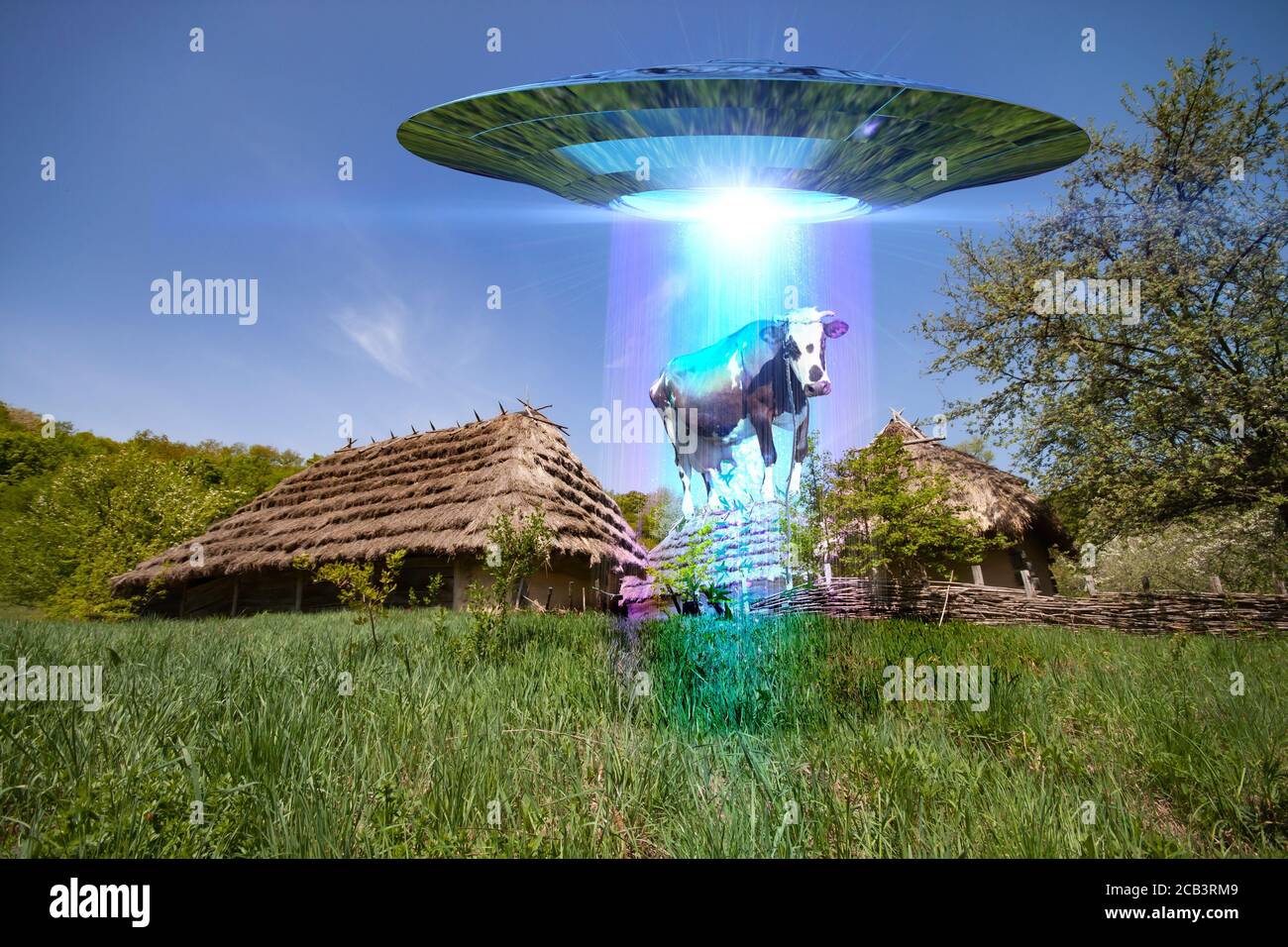 Alien cow abduction ufo field landscape rural hi-res stock photography ...