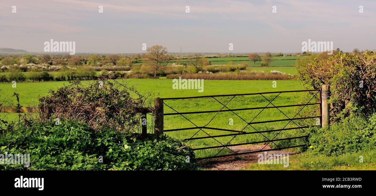 Wiltshire countryside, seen through a field gateway Stock Photo - Alamy