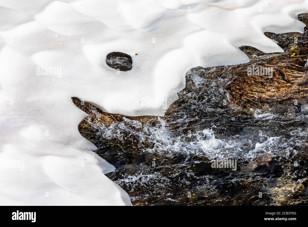 Stream and melting snow along Skyline Trail in July in Paradise area of ...