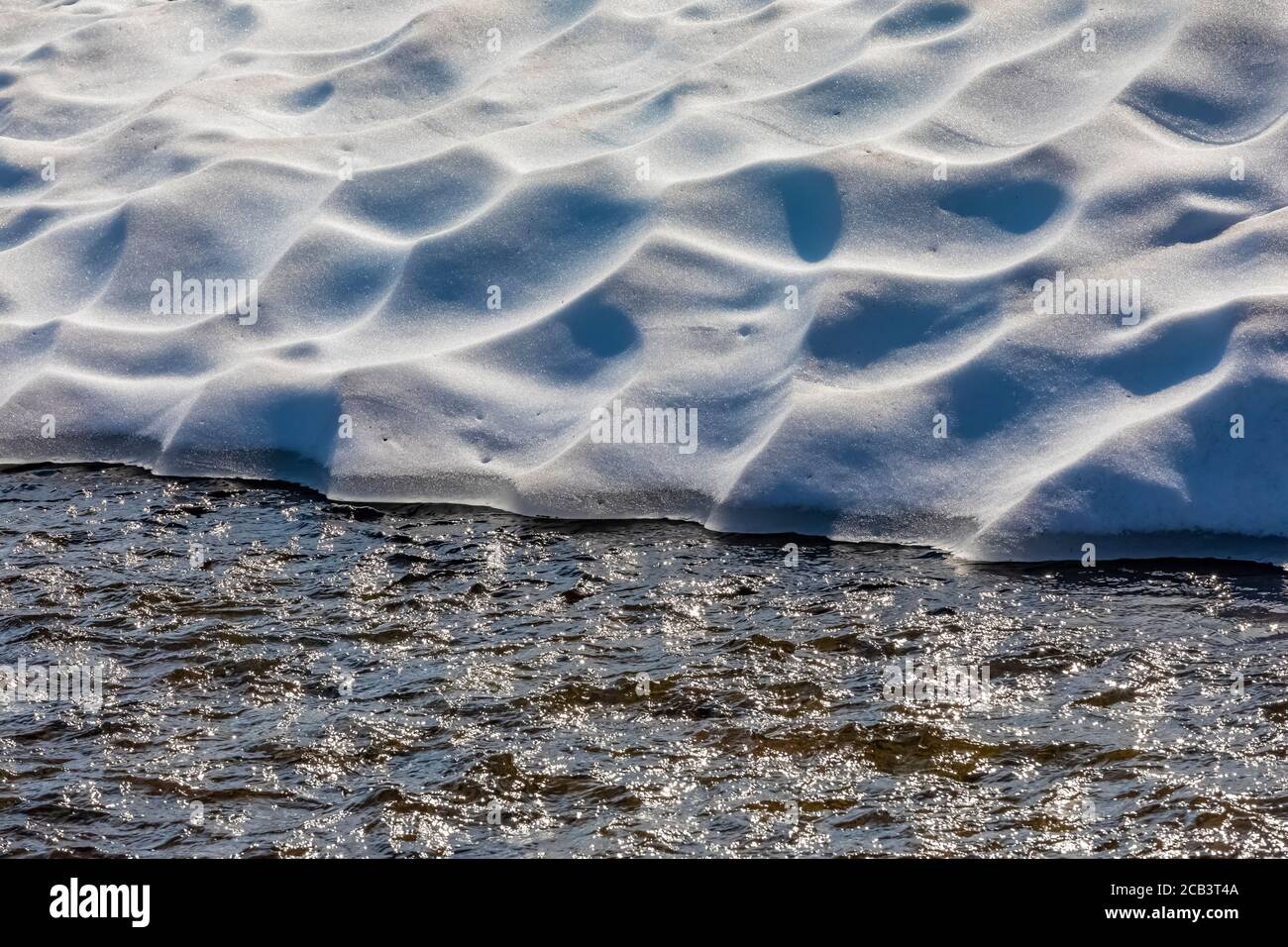 Stream and melting snow along Skyline Trail in July in Paradise area of ...
