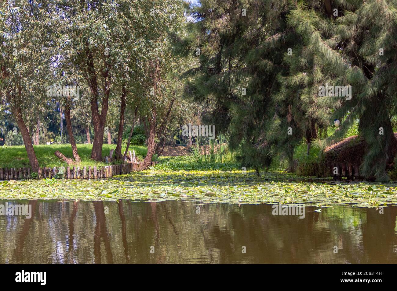 Landscape of the Cuemanco canal in Xochimilco, Mexico City. Calm river ...