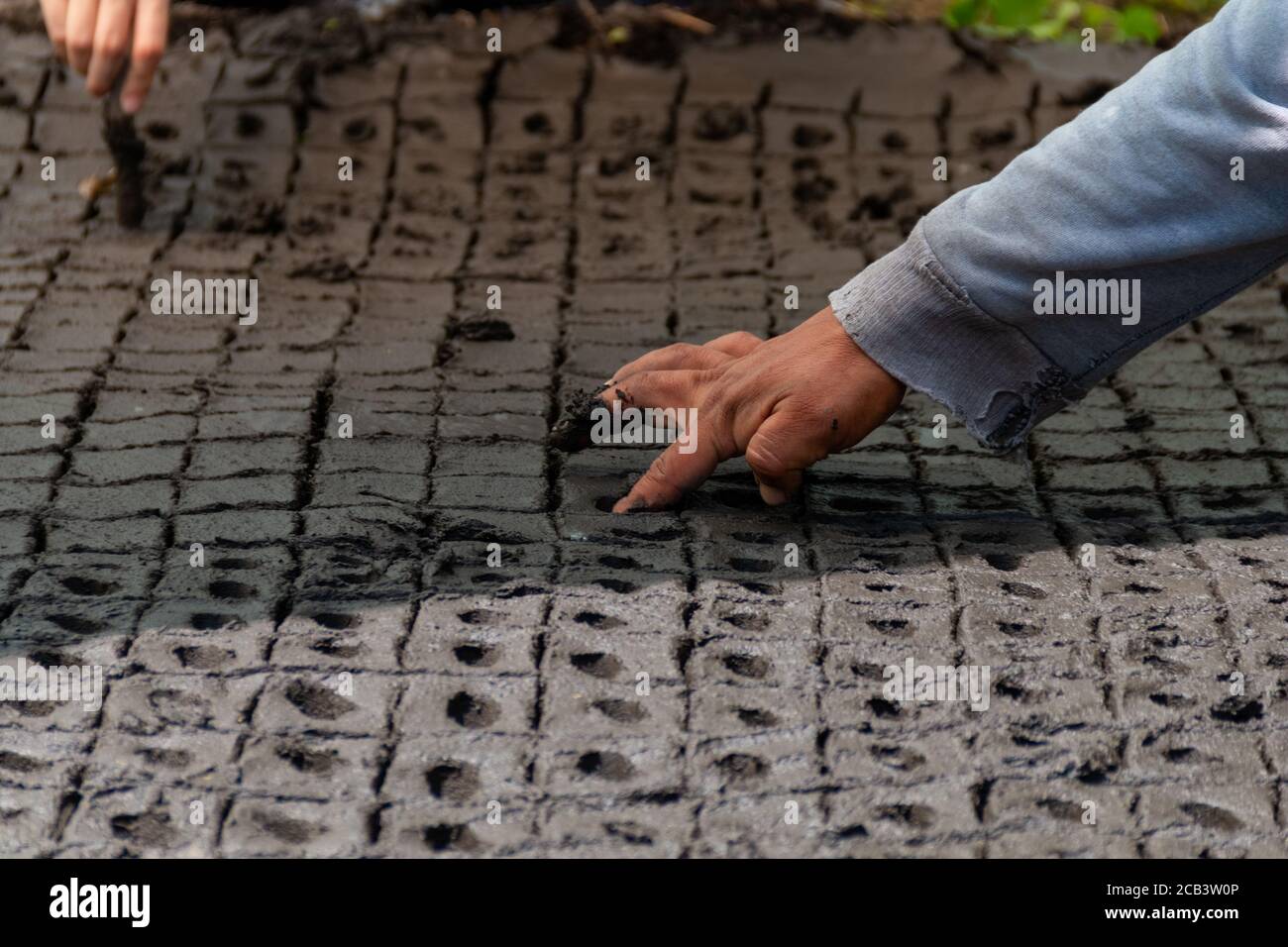 Seeds are grown from the ground and planting a seed in soil agriculture ...