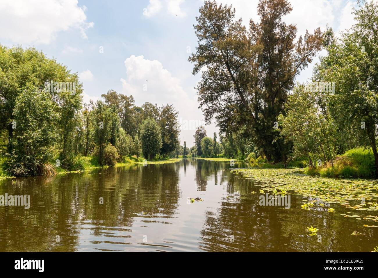 Landscape of the Cuemanco canal in Xochimilco, Mexico City. Calm river ...