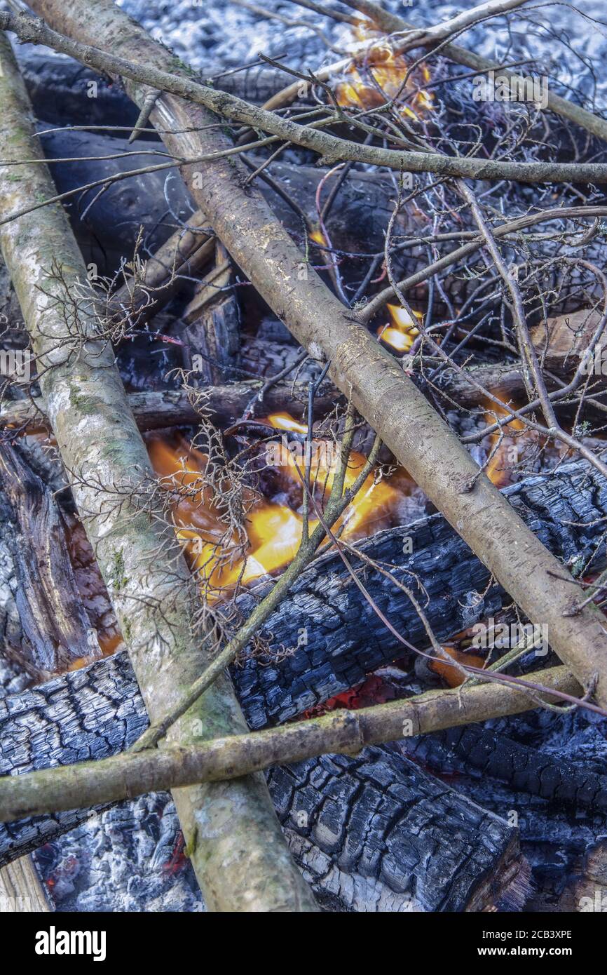Vertical shot of burning branches, embers, and flaming fire Stock Photo ...
