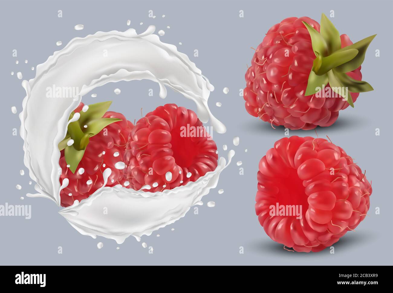 3D realistic raspberry in milk splash. Fresh red raspberry on ...