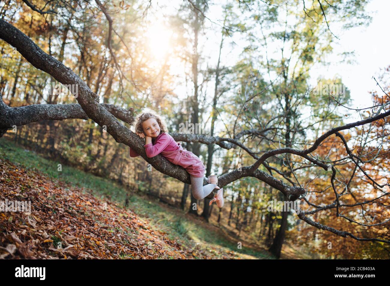 Small girl lying on tree branch in autumn forest, having fun Stock ...