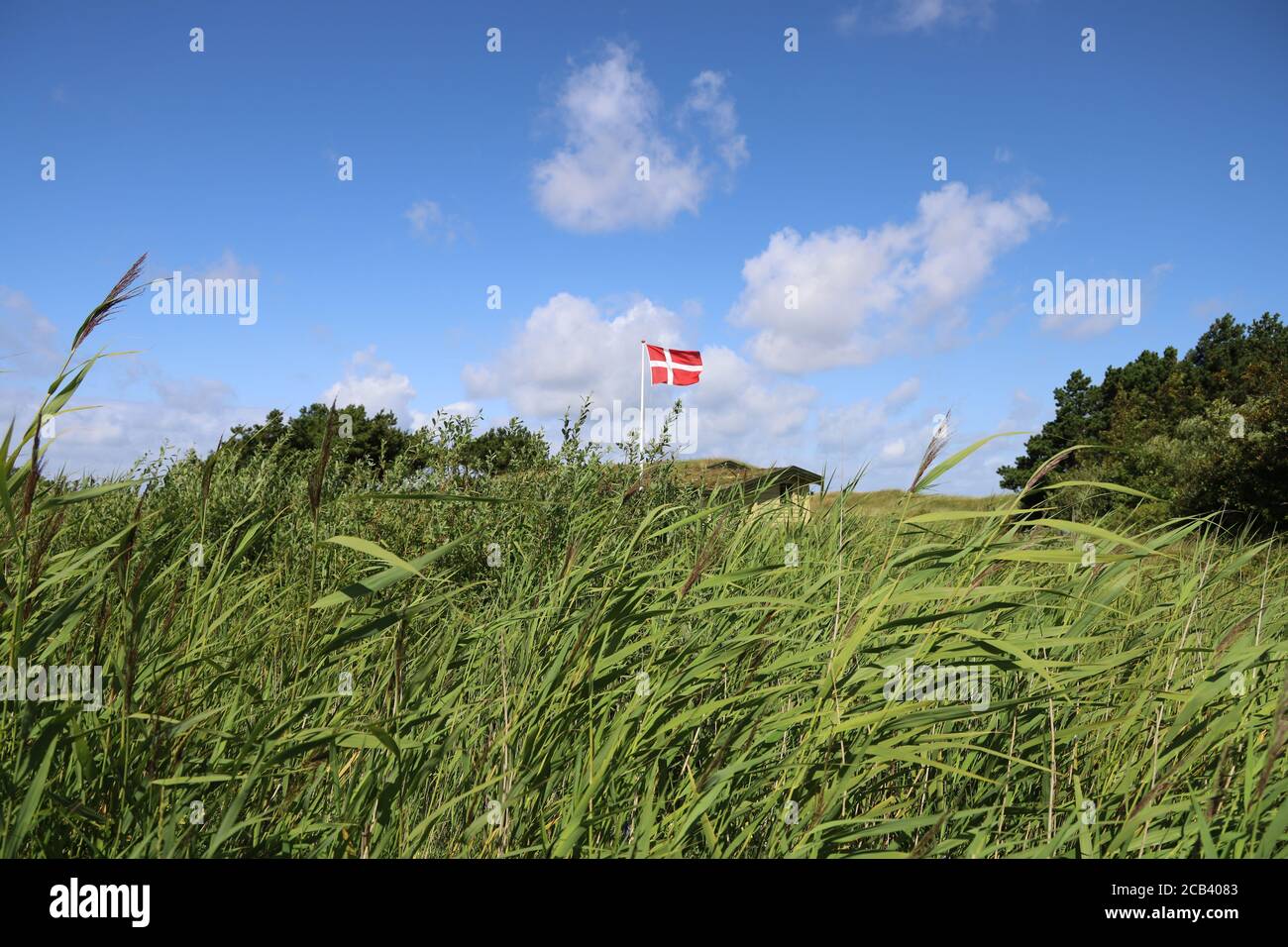 Closeup shot of the flag of Denmark in grassland Stock Photo - Alamy