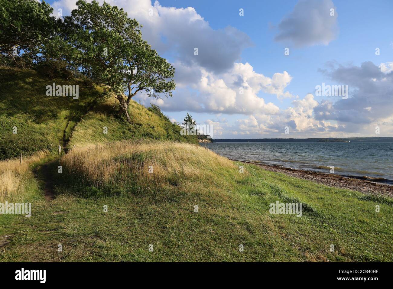 Low angle shot of trees, a river, and grassland Stock Photo - Alamy