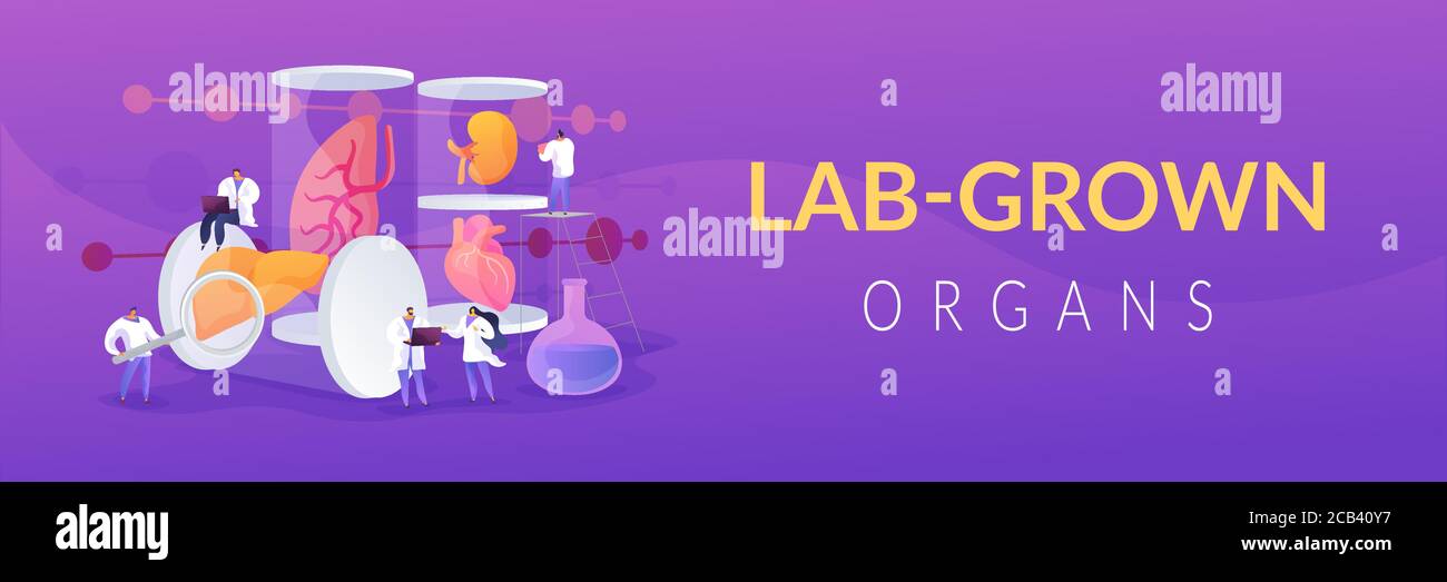 Human lung specimen Stock Vector Images - Alamy