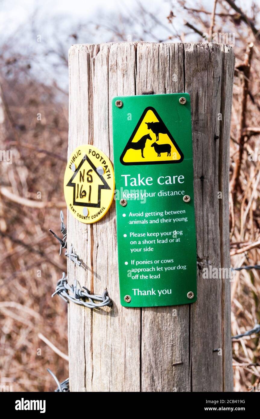 Take care of animals hi-res stock photography and images - Alamy