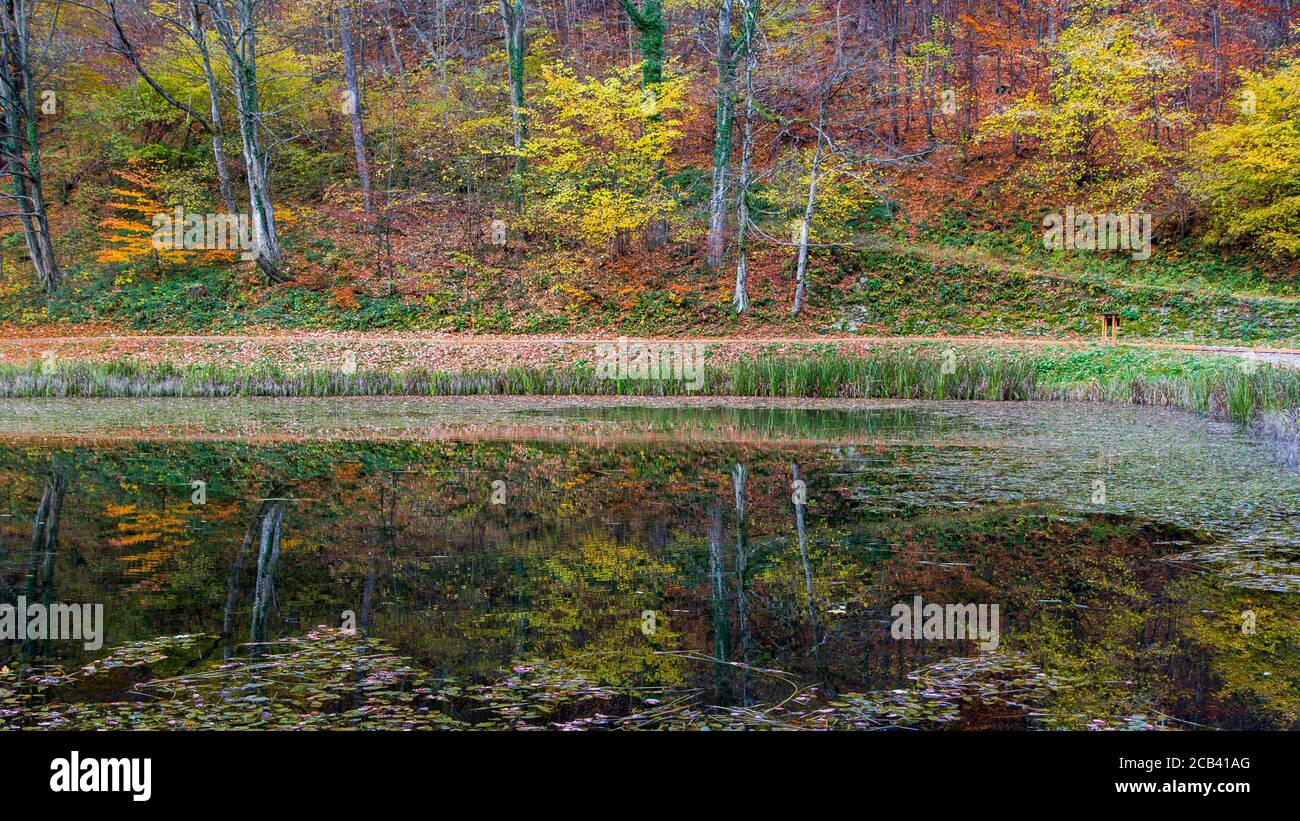 Lake in Jankovac Stock Photo - Alamy