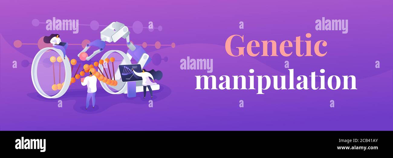 Genetic engineering concept banner header Stock Vector Image & Art - Alamy