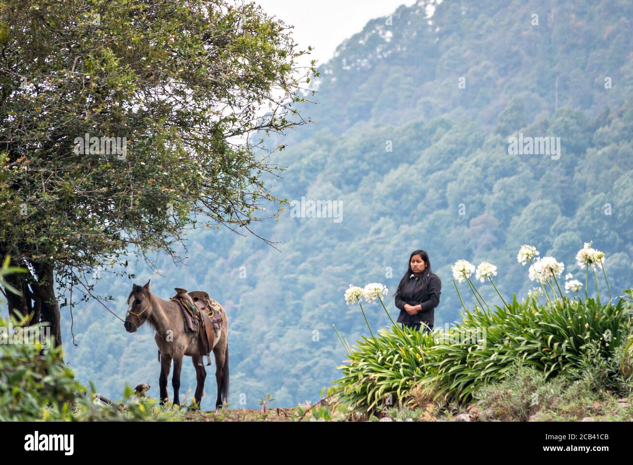 A forest guardian rests her horse outside the Cerro Pelon Monarch ...