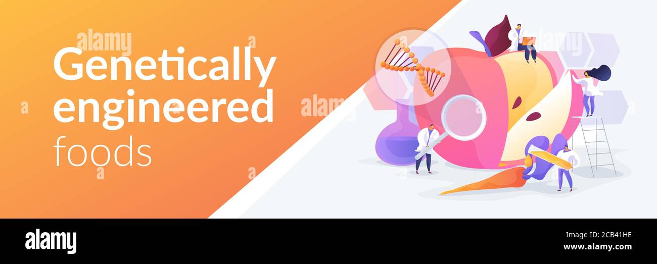 Genetically modified foods concept banner header Stock Vector Image & Art - Alamy