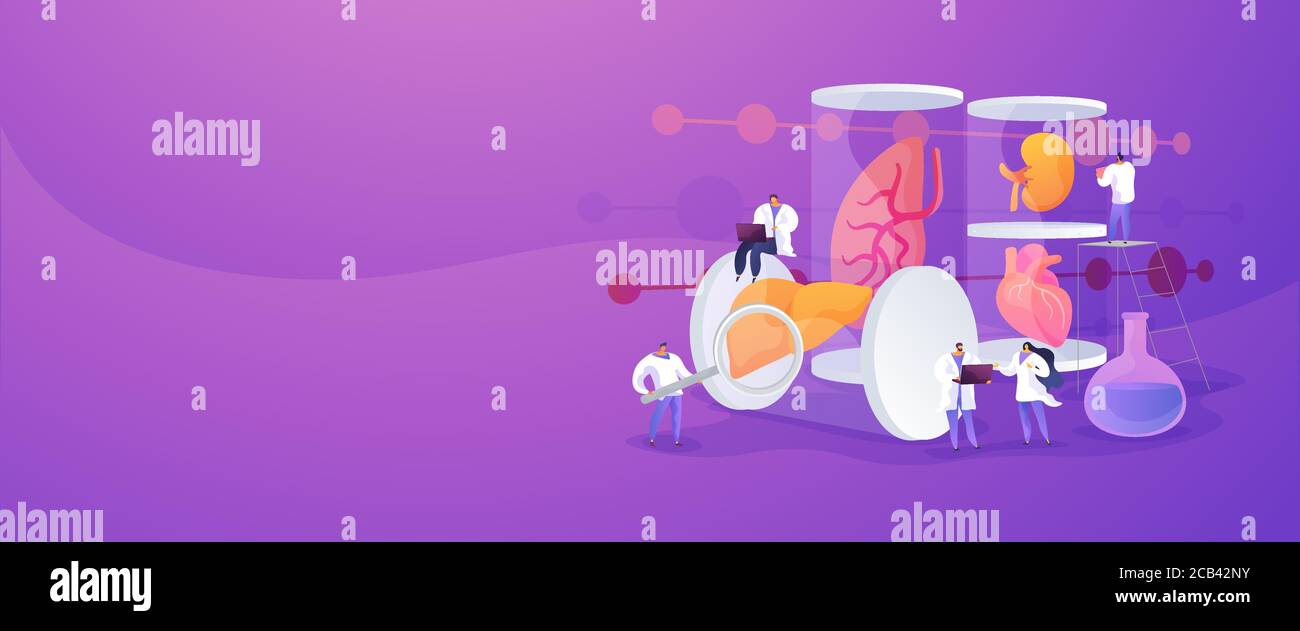 Trachea larynx organs biology anatomy hi-res stock photography and ...