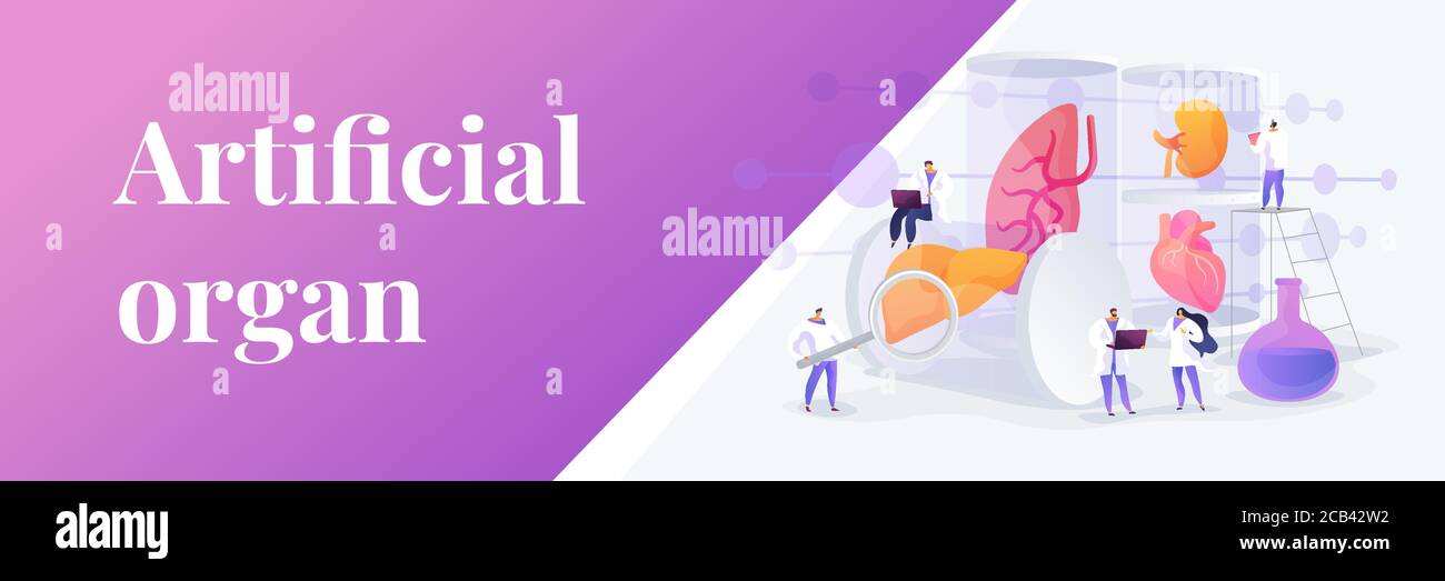 Lab grown organ hi-res stock photography and images - Alamy