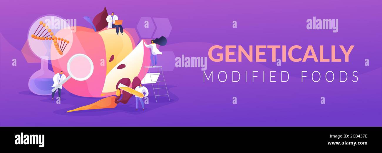 Genetically modified foods concept banner header Stock Vector Image & Art - Alamy