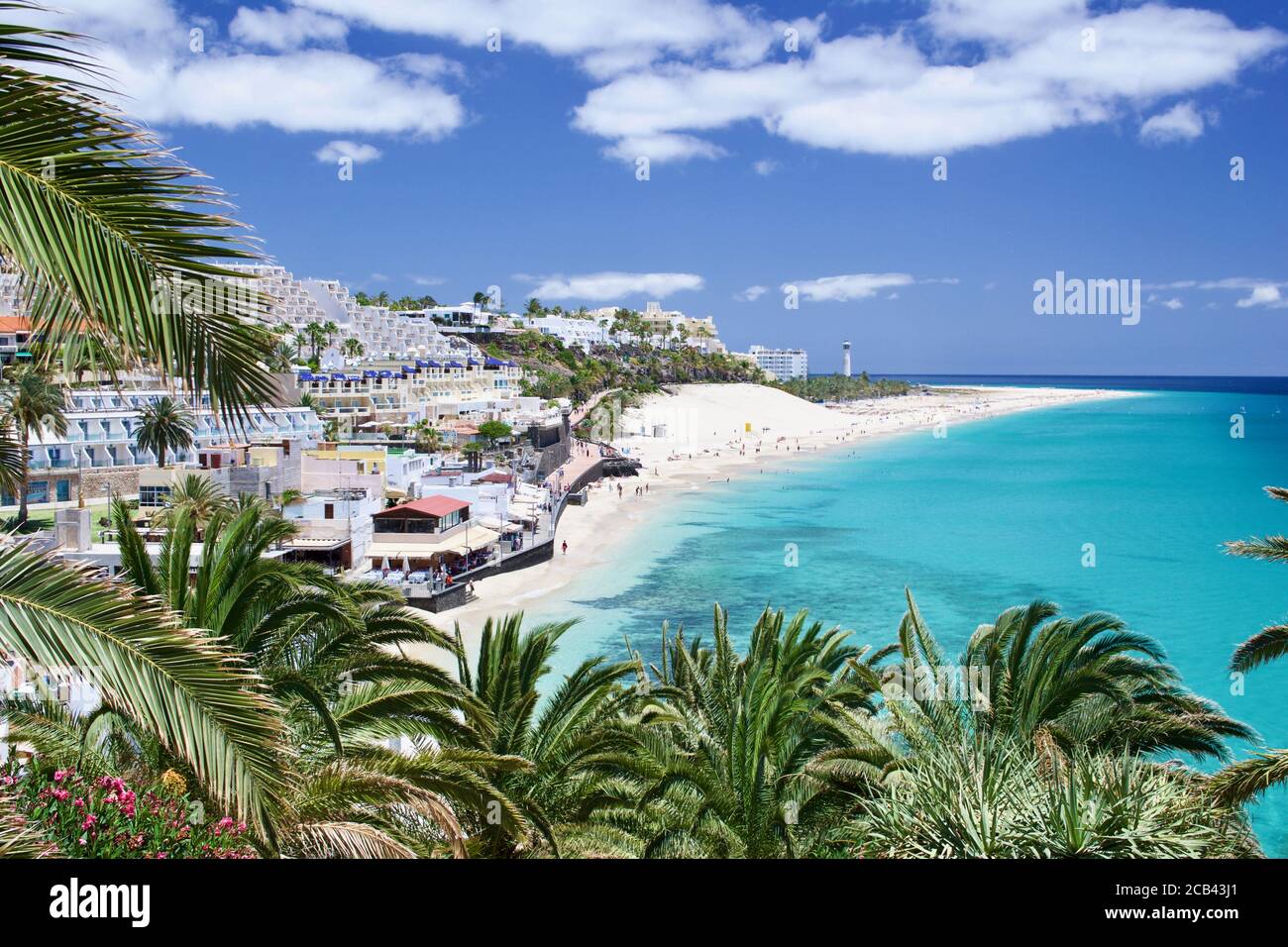 Morro jable palm trees hi-res stock photography and images - Alamy