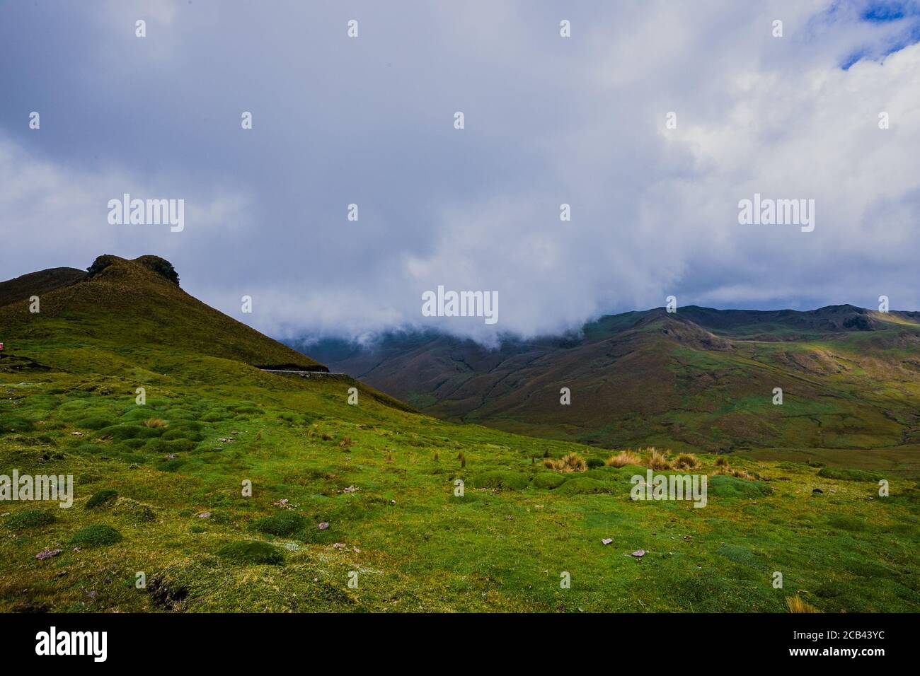 Green field under thunderhead cloudy sky Stock Photo - Alamy