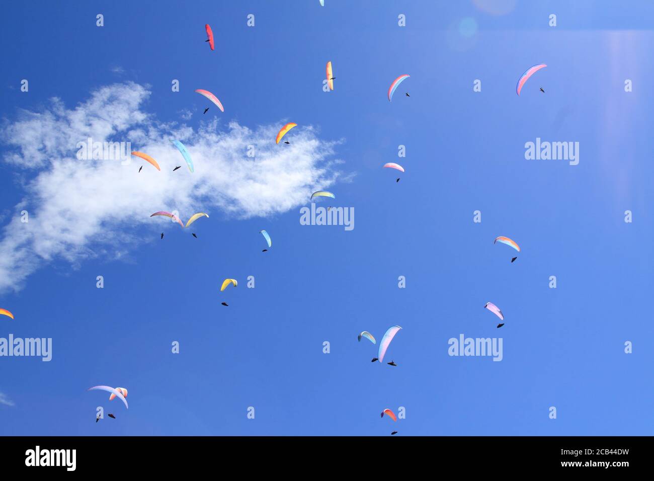 a group of paratroopers fly paragliding over the Italian Alps Stock ...