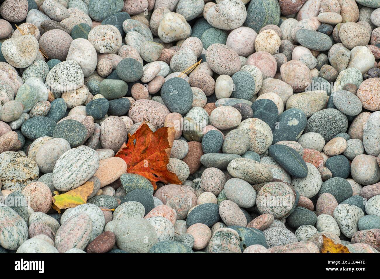 Stone beach pebbles along Lake Superior shoreline, Batchawana Bay ...