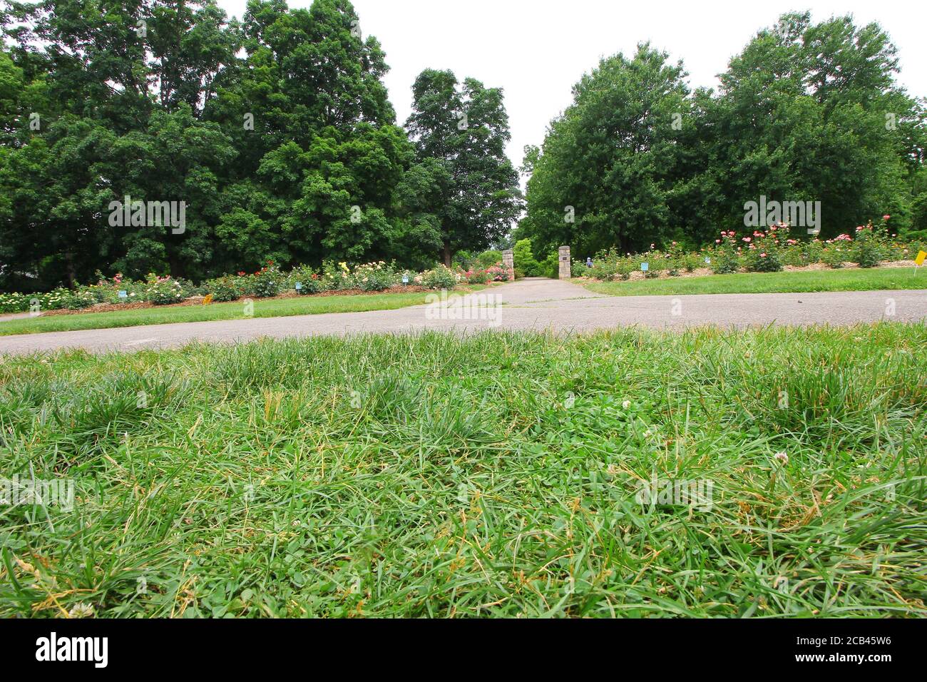 Closeup shot empty pathway hi-res stock photography and images - Alamy