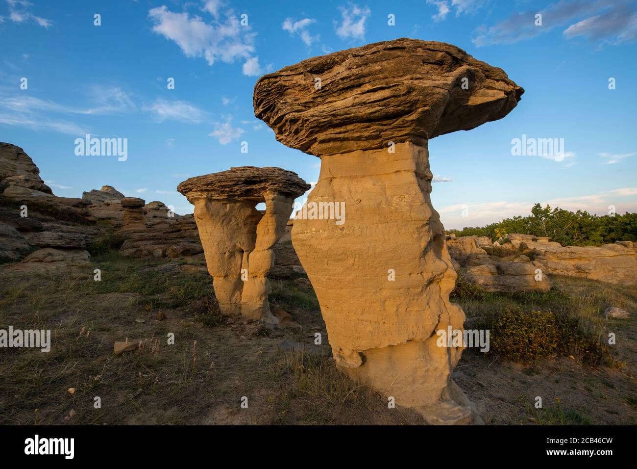 Sandstone hoodoos in the Milk River Valley, Writing on Stone Provincial ...