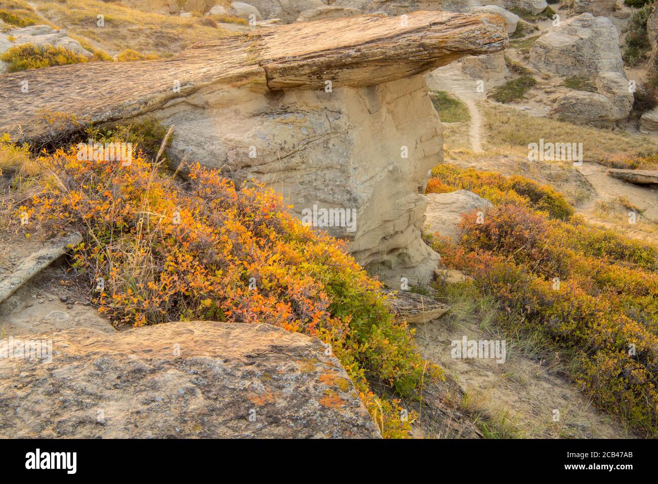 Milk River and Sandstone hoodoos, Writing on Stone Provincial Park ...