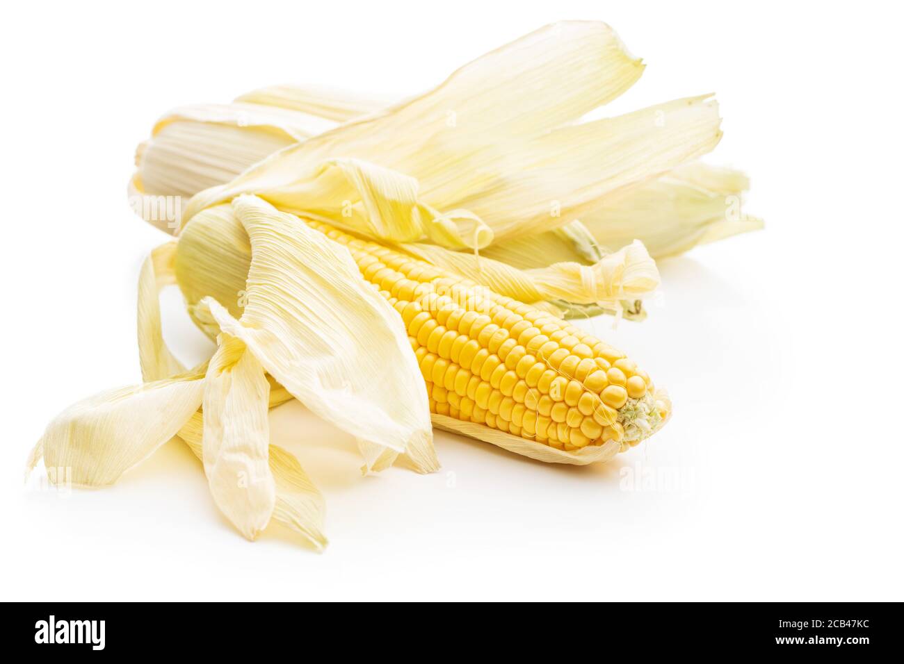 Uncooked corn cob isolated on white background Stock Photo - Alamy