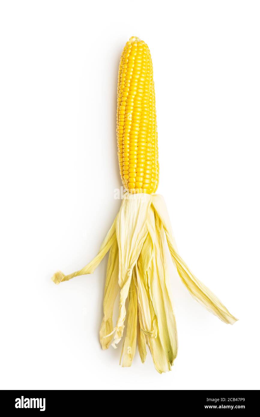 Uncooked corn cob isolated on white background Stock Photo - Alamy