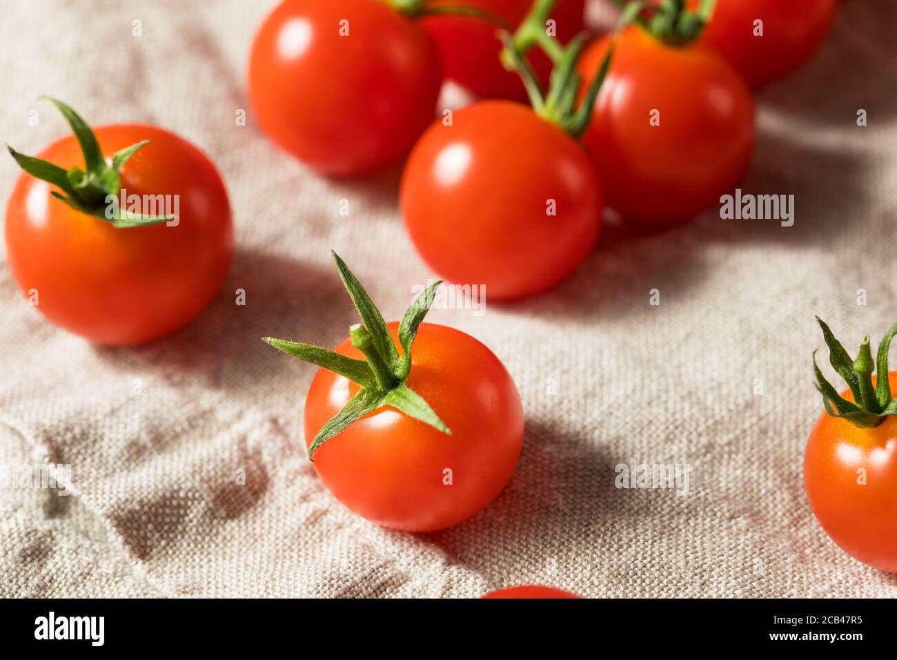 Raw Red Organic Cherry Tomatoes on the Vine Stock Photo - Alamy