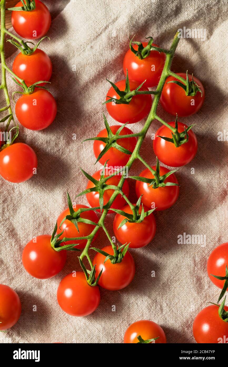 Raw Red Organic Cherry Tomatoes on the Vine Stock Photo - Alamy