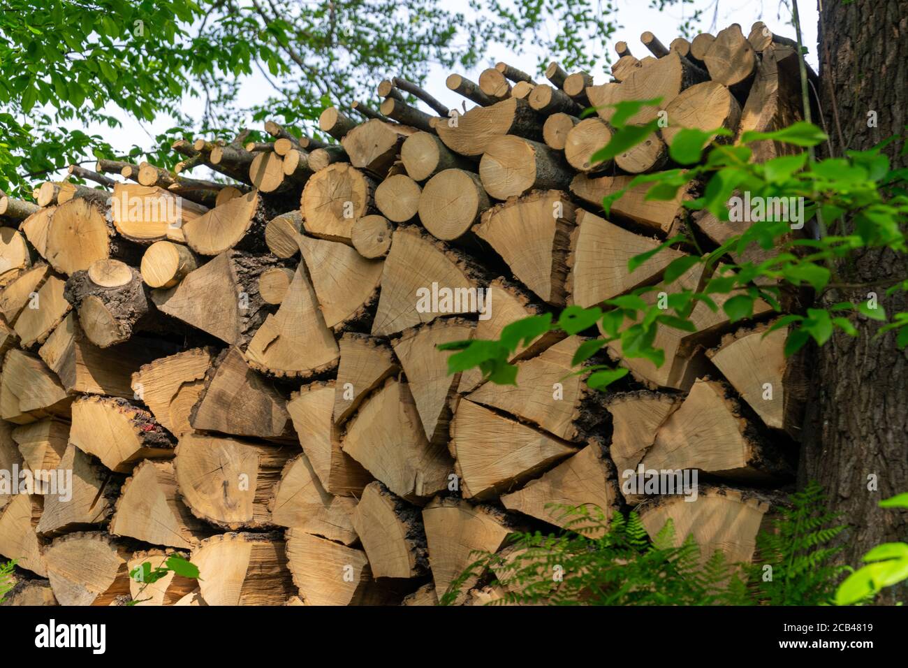 Stacks stacked logs top hi-res stock photography and images - Alamy