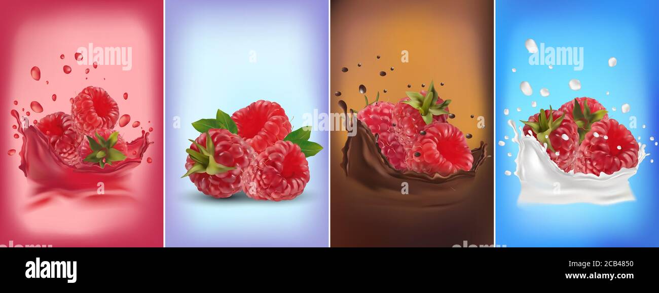 3D realistic raspberry in milk splash and chocolate splash. Juice ...